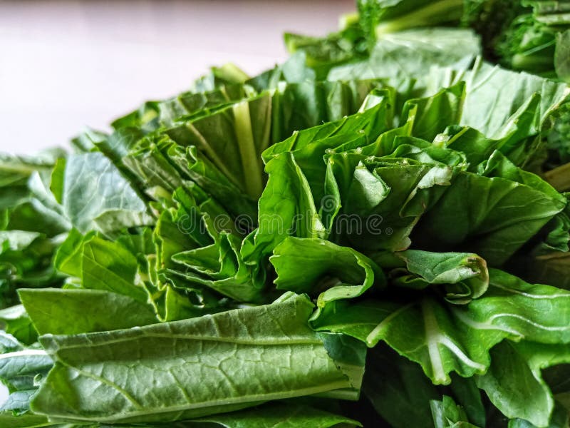 Green mustard chunks stock image. Image of green, digestion - 215222445