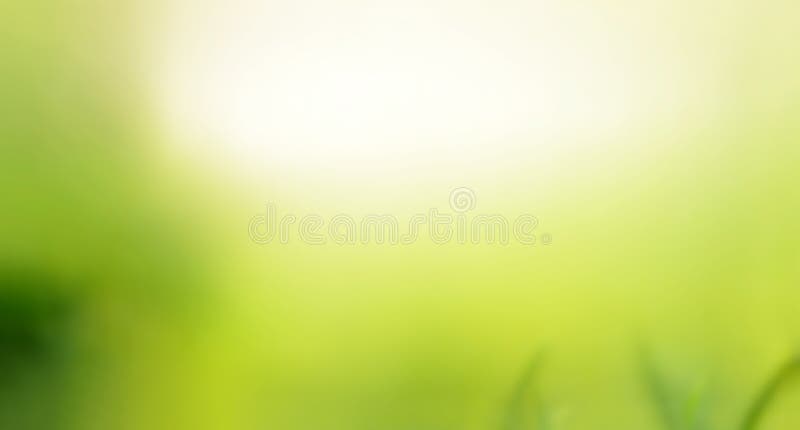 Green Natural Abstract Background Stock Photo - Image of effect, bokeh ...