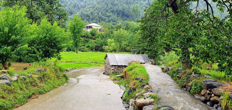 Green Natural Beauty Scenery in Swat Bar Shawar Stock Photo - Image of ...