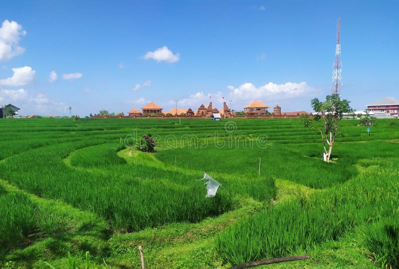 Green Natural Beauty and View Ornaments Stock Image - Image of green ...