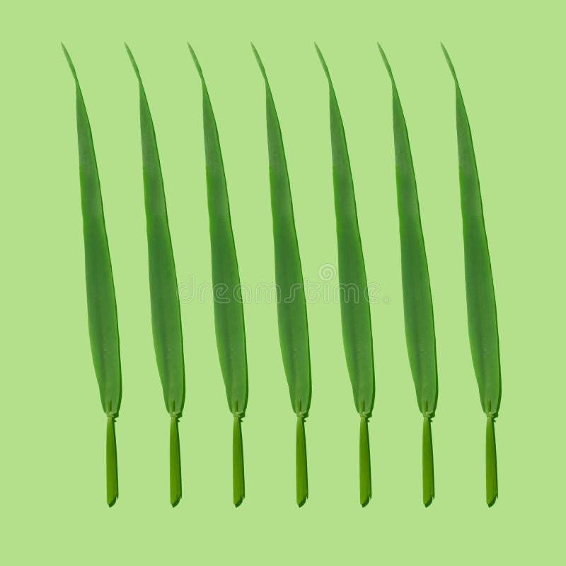 Seasons Diagram Stock Photos - Free & Royalty-Free Stock Photos from ...