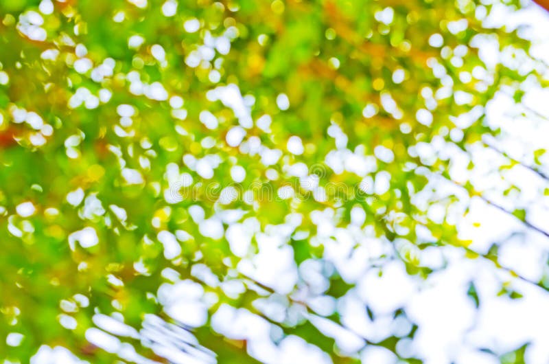 Green Natural Blur Background. Stock Image - Image of colorful, lush ...