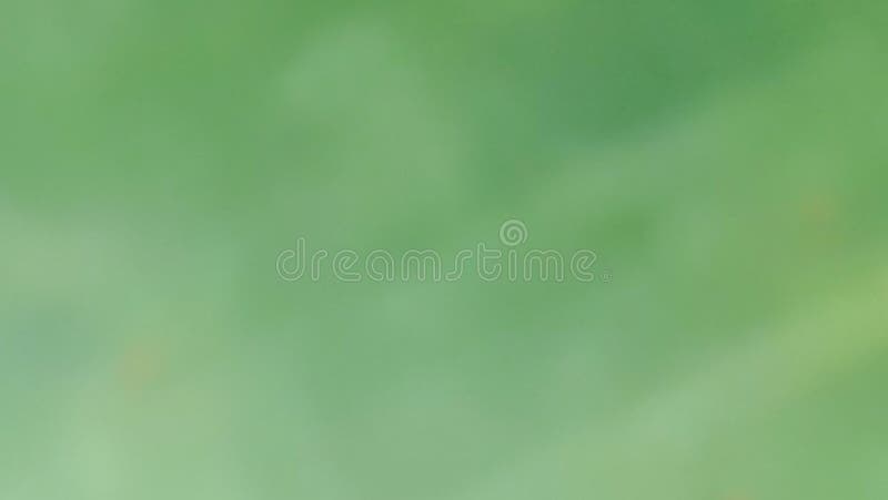 A green natural blur stock photo. Image of future, nature - 196387762