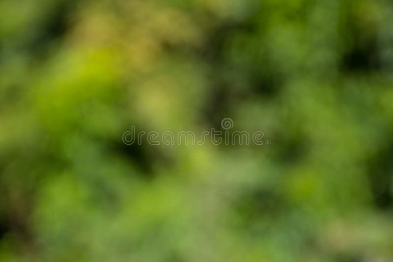 Green Blurred Abstract Background Stock Image - Image of lush, light ...
