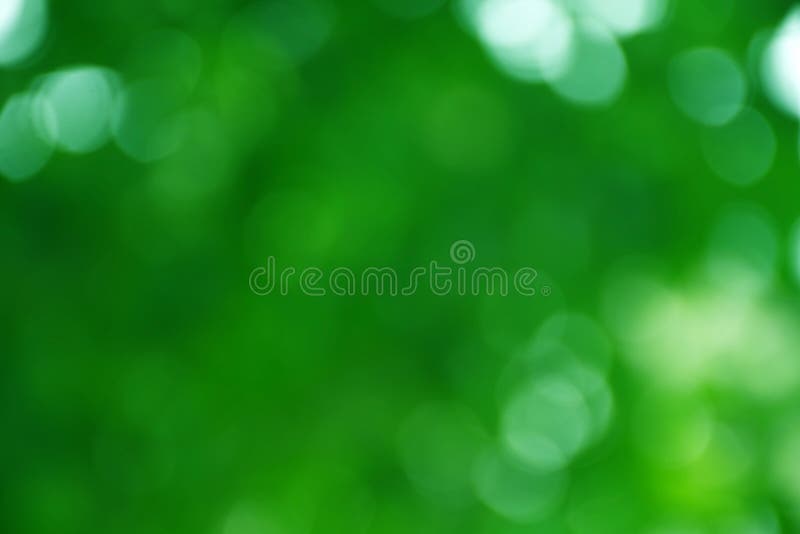 Green Natural Bokeh for the Background Stock Image - Image of bokeh ... Green Natural Bokeh for the Background Stock Image - Image of bokeh ...