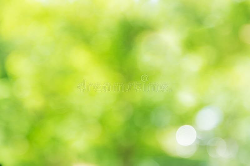 Green Natural Bokeh. Beautiful Spring Summer Defocused Background Stock ...