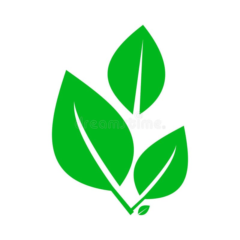Green Natural Leaf. Leaf Icon Shapes in Modern Flat Style Stock Vector ...
