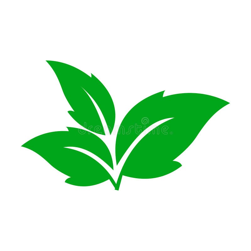 Green Natural Leaf. Leaf Icon Shapes in Modern Flat Style Stock Vector ...