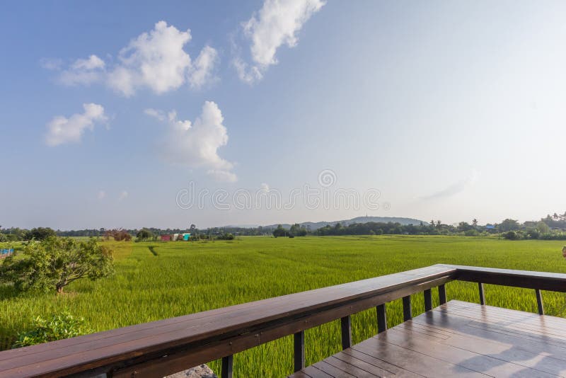 Green natural view stock image. Image of alley, foliage - 62159677