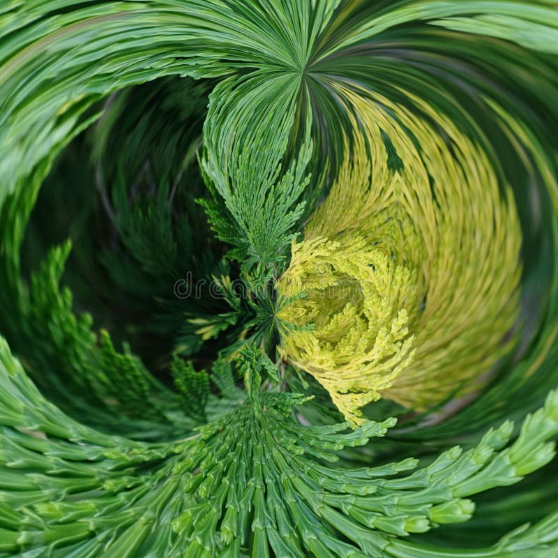 Green Nature Abstract Background Shapes and Blurs Stock Image - Image ...