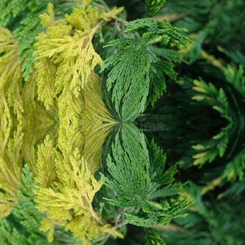 Green Nature Abstract Background Shapes and Blurs Stock Image - Image ...