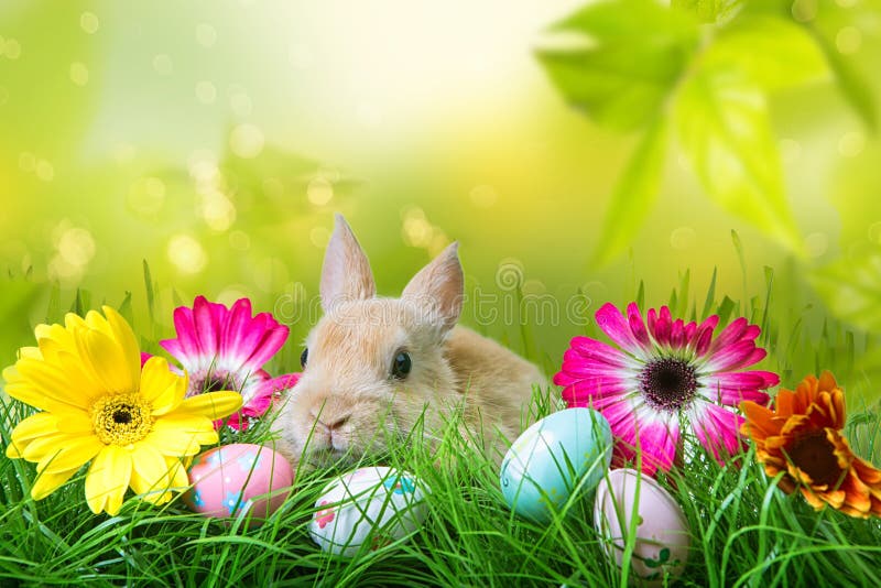 Time Magazine Cover Photo 2026 Stock Photos - Free & Royalty-Free Stock ...