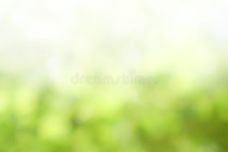 Green Nature Blurred Background Stock Photo - Image of green, abstract ...