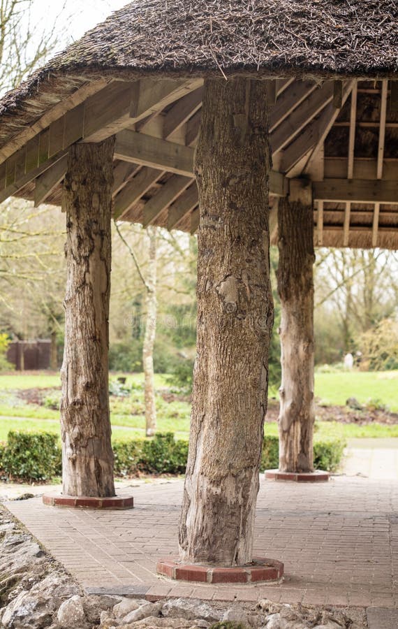 Green Nature through the Camera Lens Stock Photo - Image of flare ...