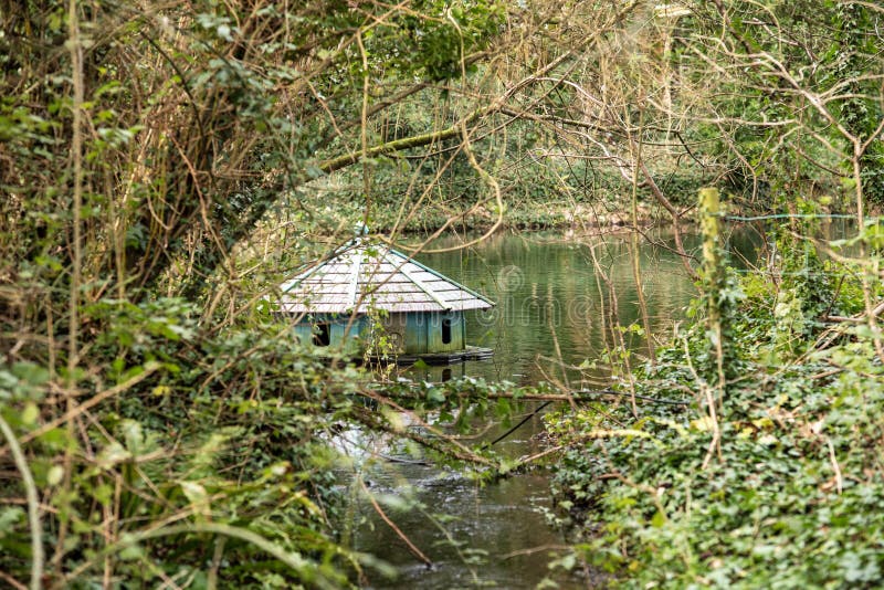 Trees in camera lens stock image. Image of color, camera - 242963077