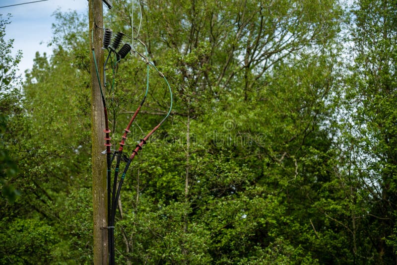 Green Nature through the Camera Lens Stock Image - Image of length ...