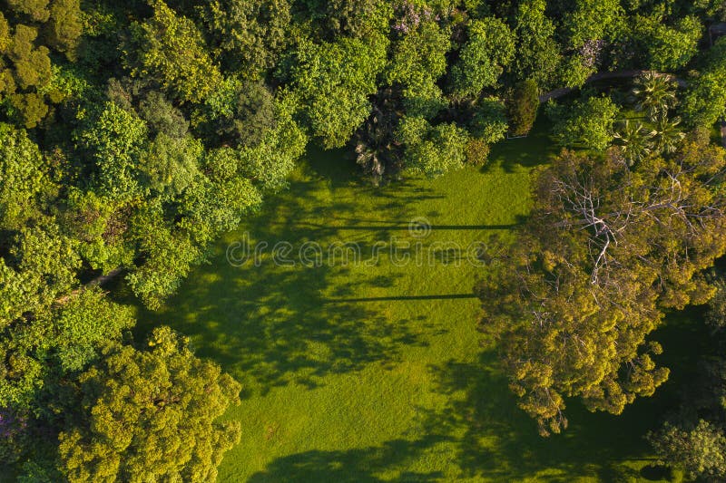 Green Nature High Angle View Stock Image - Image of summer, outdoor ...