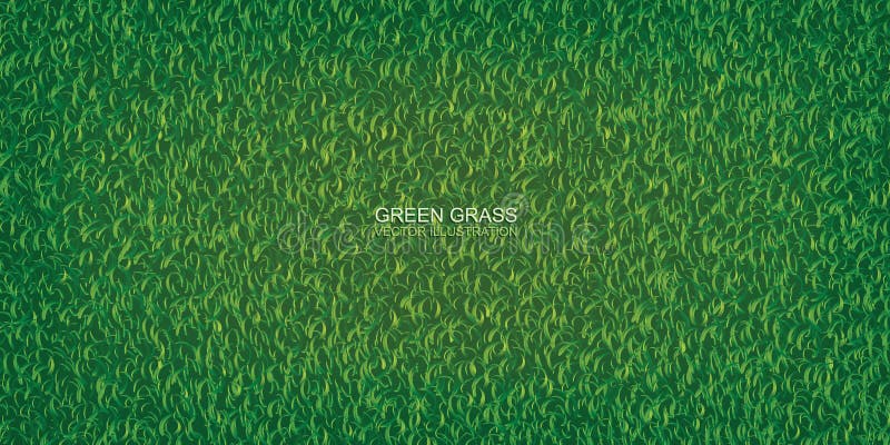 Grass Continuous Texture Stock Illustrations – 383 Grass Continuous ...