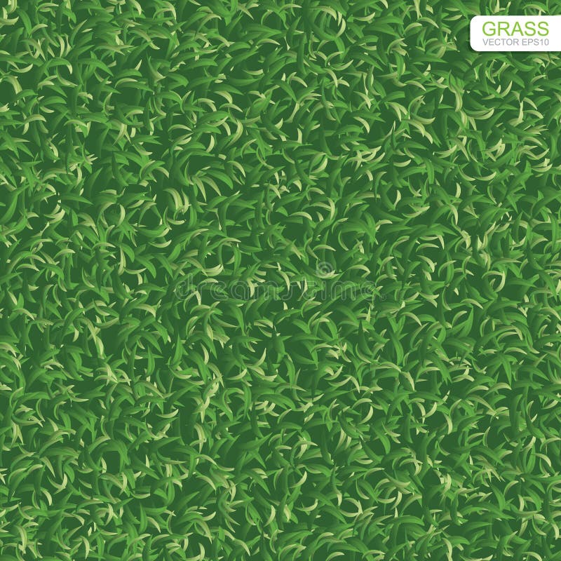 Green Nature Lawn Grass Texture and Pattern Background. Vector. Stock ...