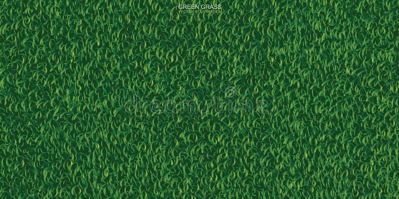 Green Nature Lawn Grass Texture and Pattern for Background. Vector ...