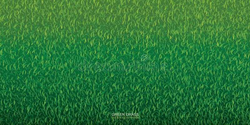 Grass Continuous Texture Stock Illustrations – 383 Grass Continuous ...