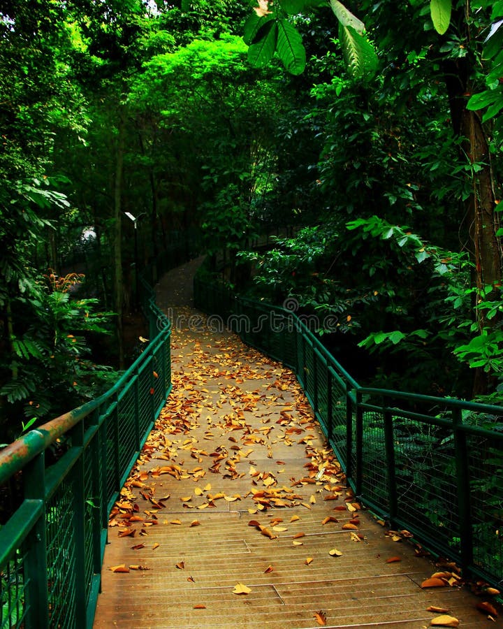 Green Path Picture. Image: 86298917