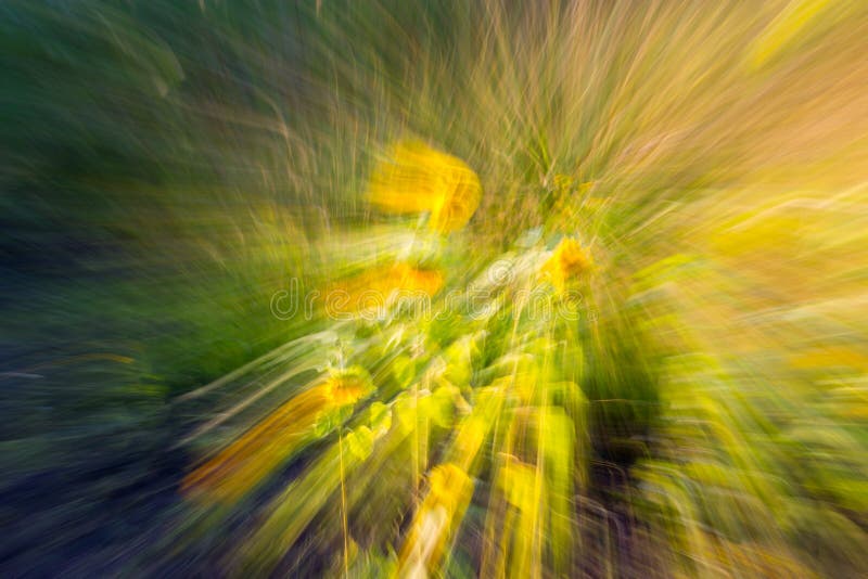 Green Nature in Motion As a Background Stock Photo - Image of landscape ...