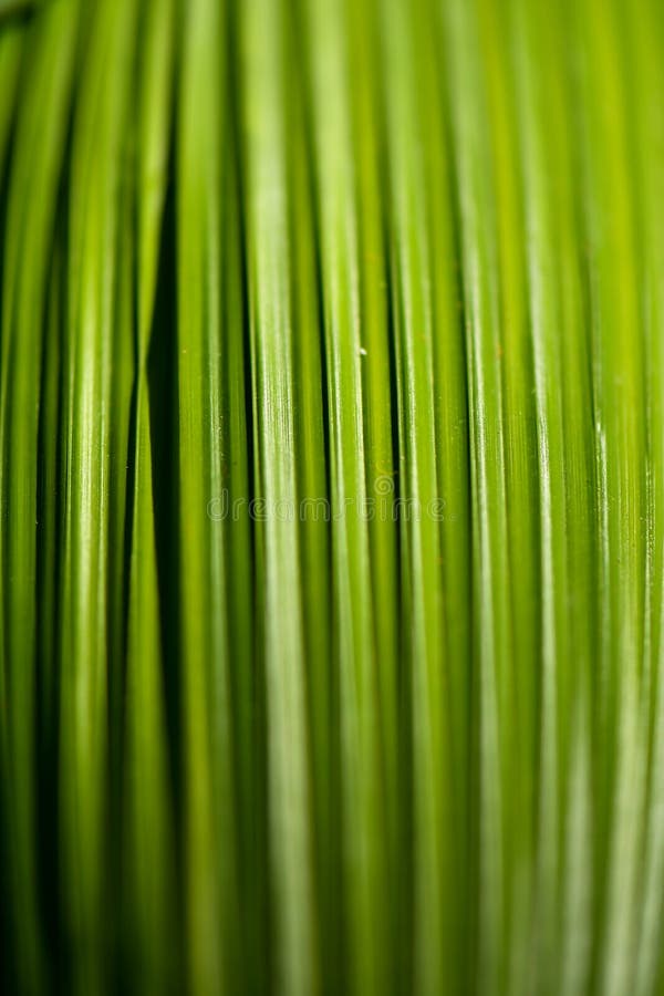 Green Nature Patterns for Background Stock Image - Image of beauty ...