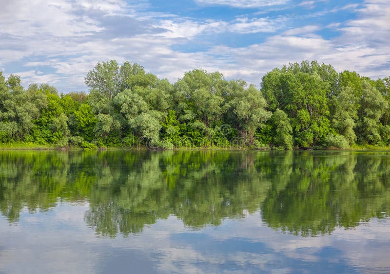 Nature reflection in water stock image. Image of scenic - 142782367