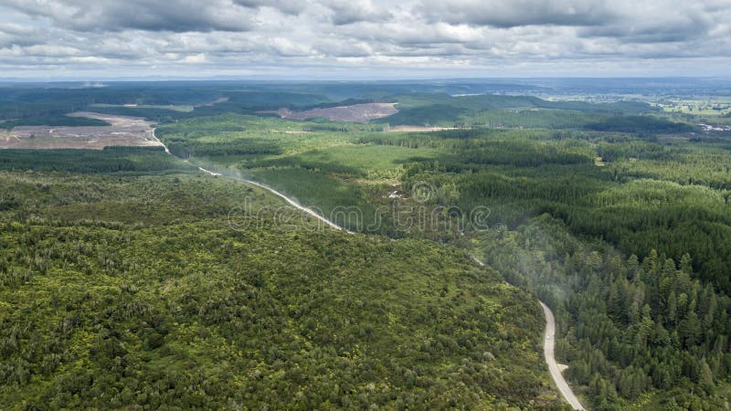 Green Nature and the Road Heading through Stock Photo - Image of ...