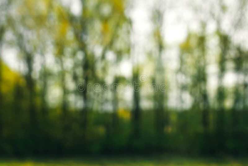 Green Nature in the Side, Forest Stock Photo - Image of green, group ...