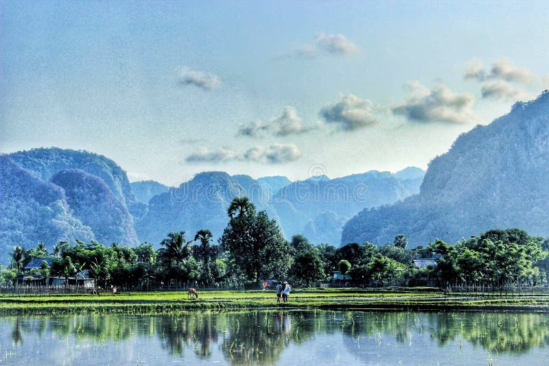 Green Nature that Soothes the Eye Stock Image - Image of reservoir ...