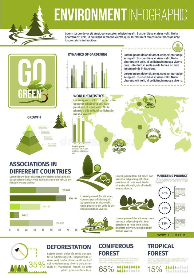 Vector Infographic for Forest and Green Nature Stock Vector ...