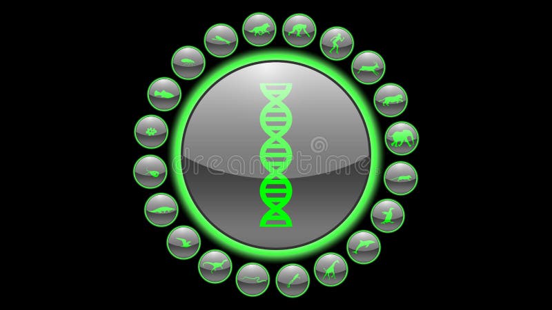 Green Neon Icons about the Evolution Stock Vector - Illustration of ...