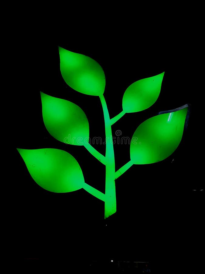 Green neon light leave stock photo. Image of sign, neon - 108100590