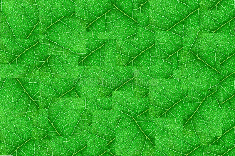 Green Nerved Leaf Cubes with Abstract Pattern. Abstract Background for ...
