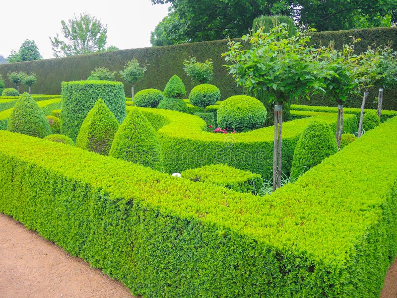 A Green Nice Garden with Hedges Cut Very Accurately. Stock Image ...