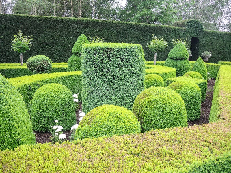 Green Nice Garden with Hedges Cut Very Accurately. Stock Image - Image ...
