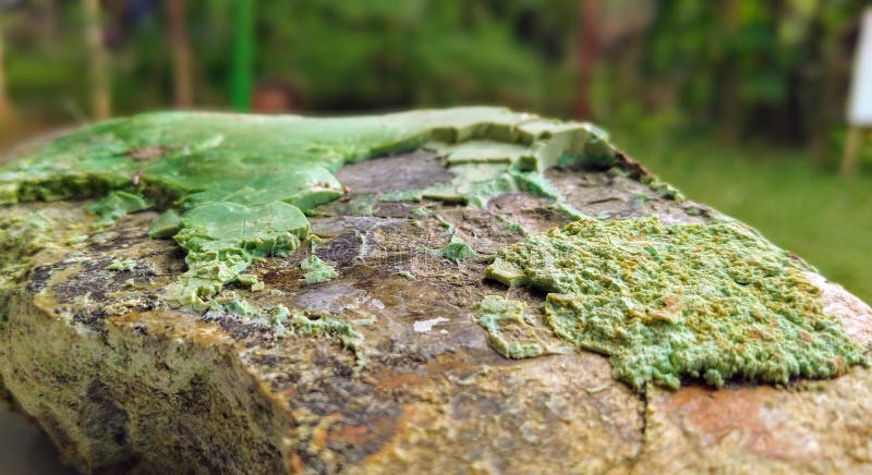 Green Nickel in North Morowali Indonesia Stock Photo - Image of ...