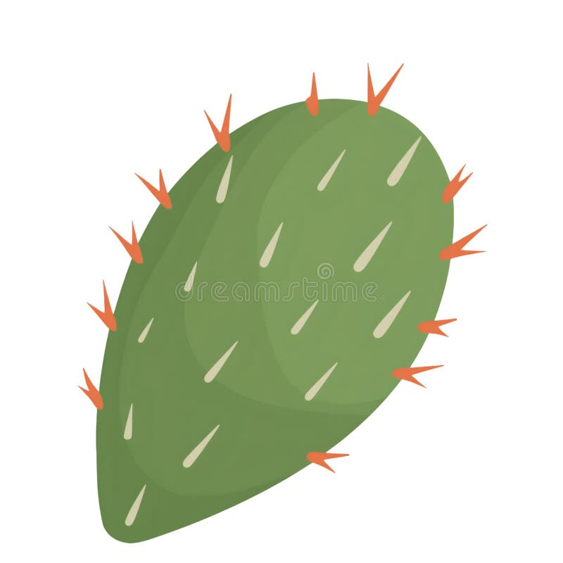 Green Nopal Cactus Leaf with Thorns on Transparent Background Stock ...