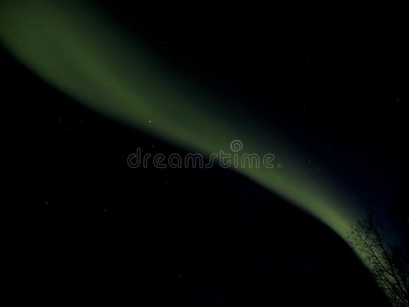 Green Northern Lights Ribbon Over Alaskan Forest Stock Photo - Image of ...