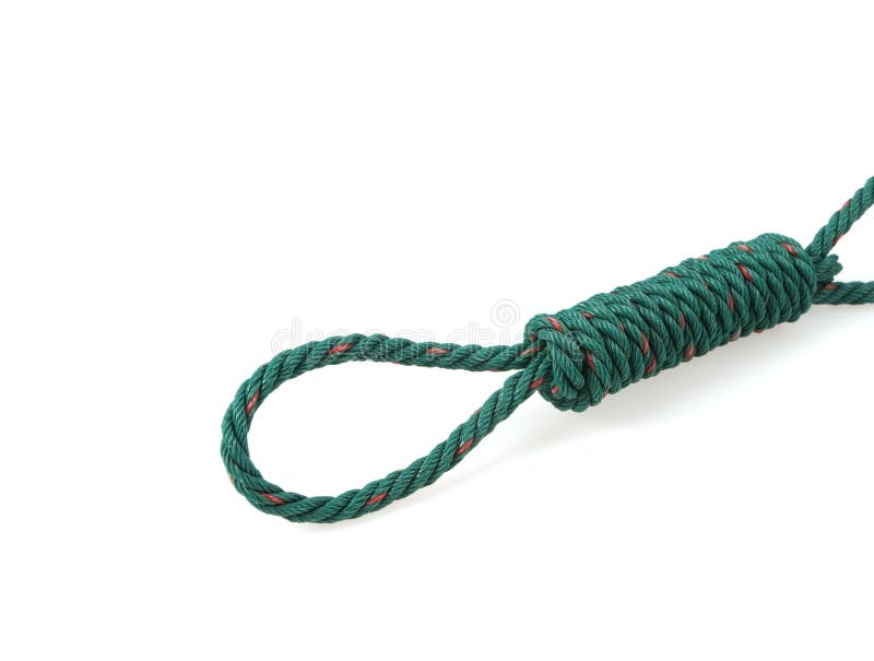 Hanging Rope Knot Tied Isolated on White Stock Image - Image of ...