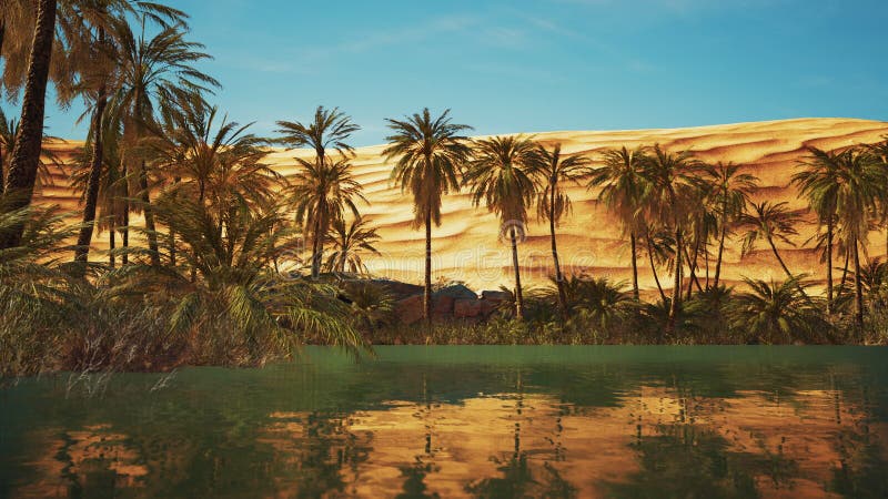 Green Oasis with Pond in Sahara Desert Stock Illustration ...