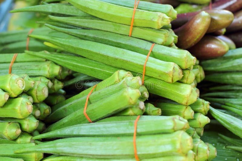 Green Okra Pods Fresh in the Market. Stock Photo - Image of okra ...