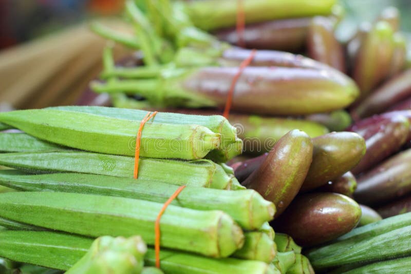 Green Okra Pods Fresh in the Market. Stock Image - Image of fruit ...