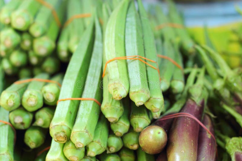 Green Okra Pods Fresh in the Market. Stock Photo - Image of healthy ...