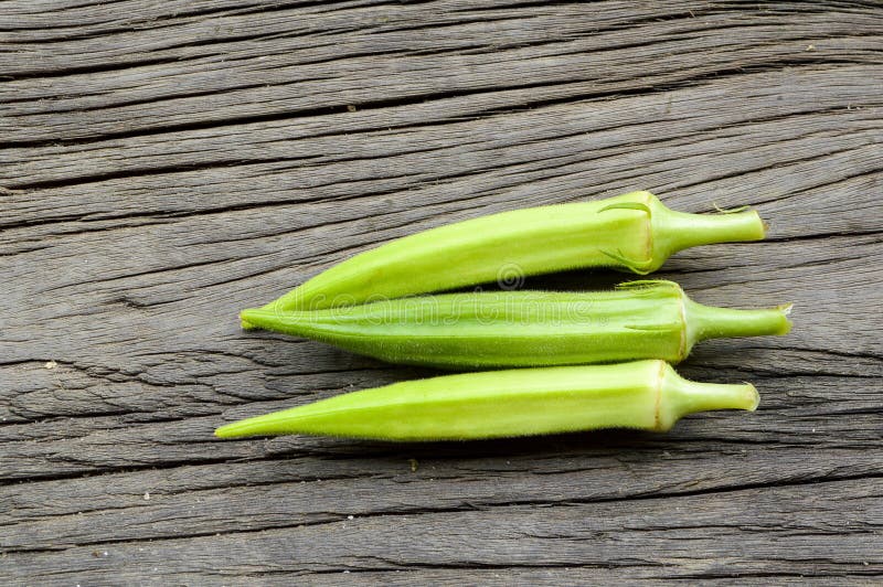 Green Okra tree in garden stock photo. Image of gumbo - 126681884