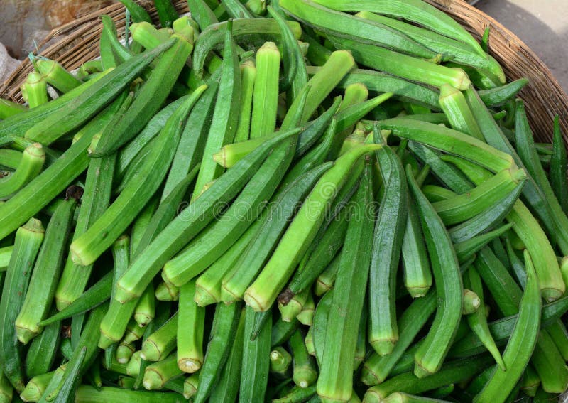 Green Okras at Market in Delhi, India Stock Photo - Image of sunny ...
