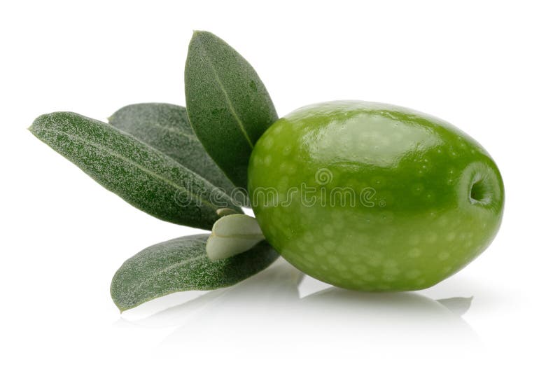 Green Olive with Leaves Isolated on White Stock Photo - Image of ...
