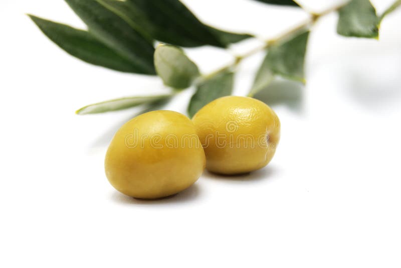 Green olives stock photo. Image of dietetic, tree, healthy - 5331170